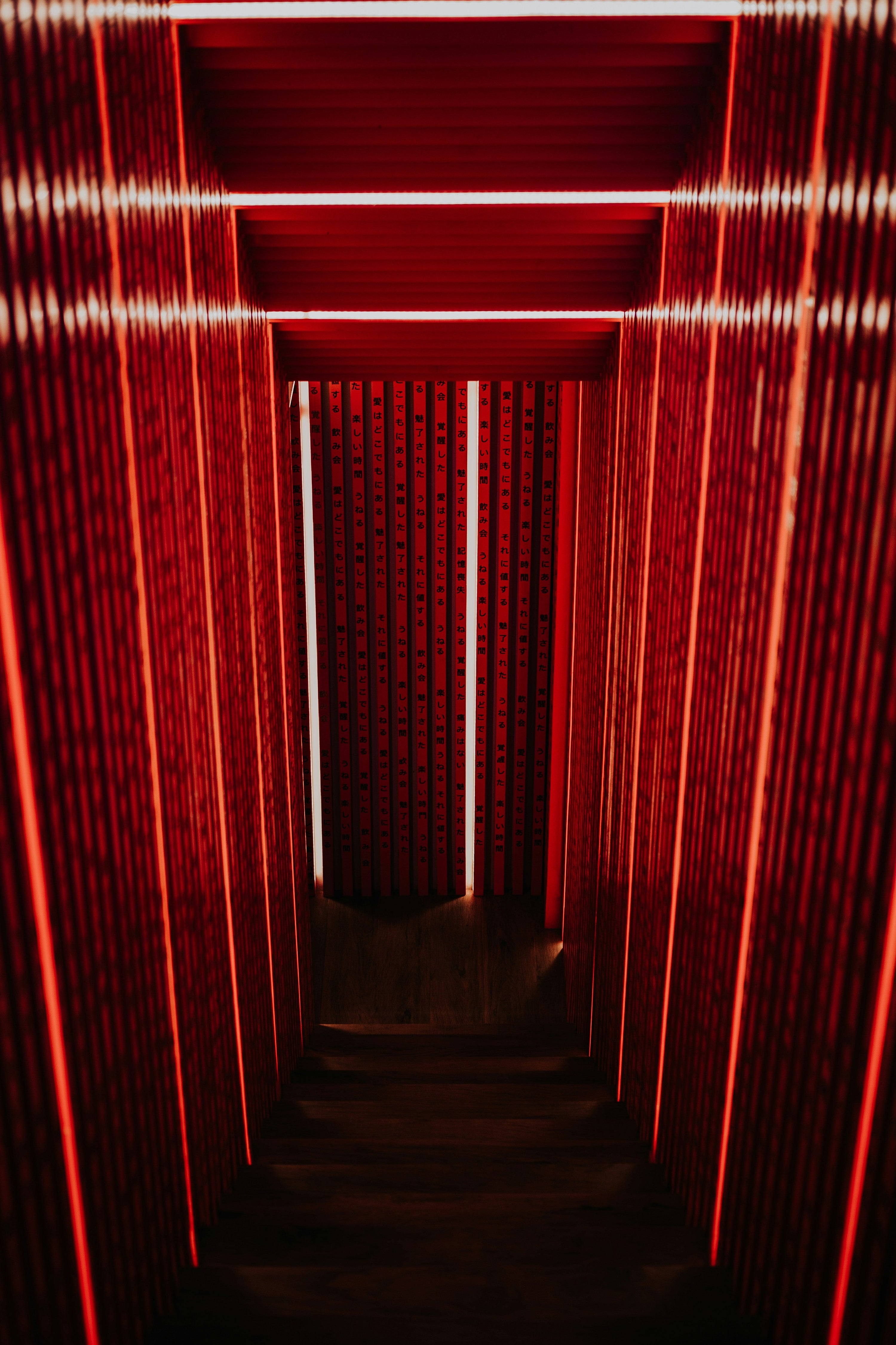 NES Light